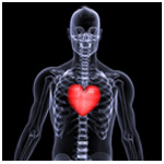 Measure Body Frame Size For Free With This Frame Size Calculator