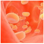 Free Cholesterol Interpretation Calculator Online!