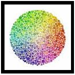 Free Color Oracle Divination Reading Online – Find Instant Solutions!