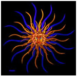 Him June 22 1988 Cusp Astrology, Born On A Cusp, Cusp Zodiac, Cusp Analysis